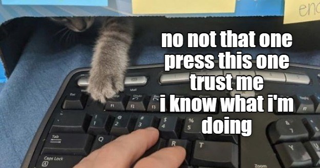 clickety clickety click - Lolcats - lol | cat memes | funny cats ...