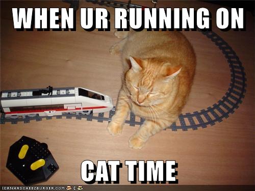 WHEN UR RUNNING ON CAT TIME - Lolcats - lol | cat memes | funny cats ...