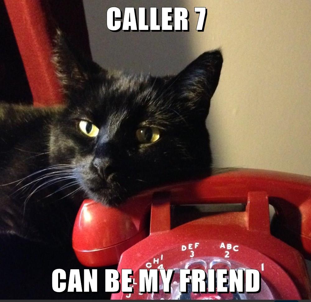 CALLER 7 CAN BE MY FRIEND - Lolcats - lol | cat memes | funny cats ...