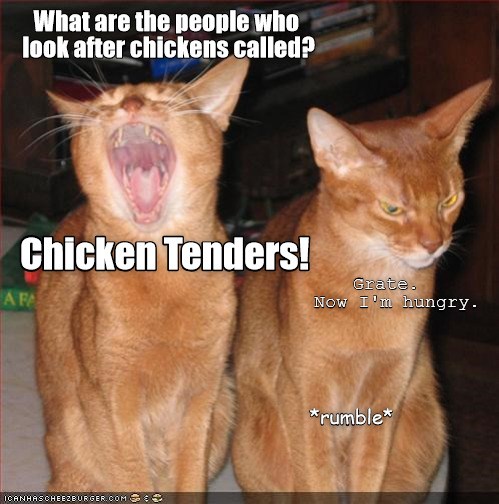 Can I have mine with lemon salt? - Lolcats - lol | cat memes | funny ...