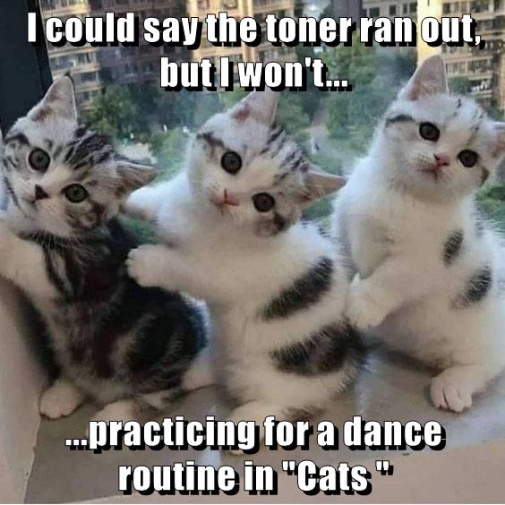 Practicing for a dance routine in "Cats " - Lolcats - lol | cat memes ...