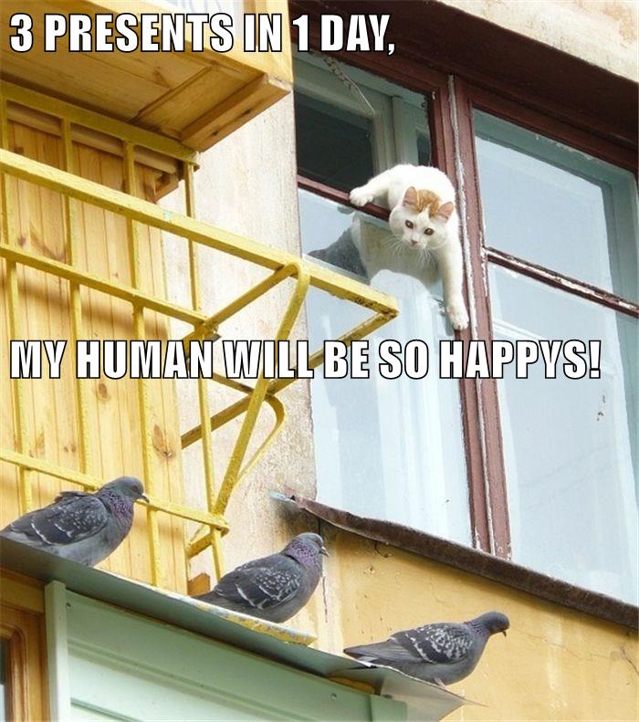 SO HAPPYS! - Lolcats - lol | cat memes | funny cats | funny cat ...