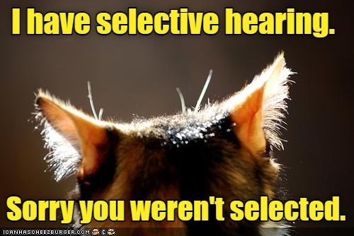 I'm not ignoring you...Wait, yes I am. - Lolcats - lol | cat memes ...