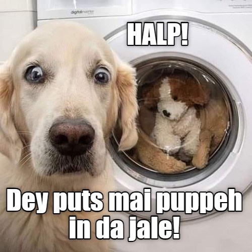 HALP - I Has A Hotdog - Dog Pictures - Funny pictures of dogs - Dog ...