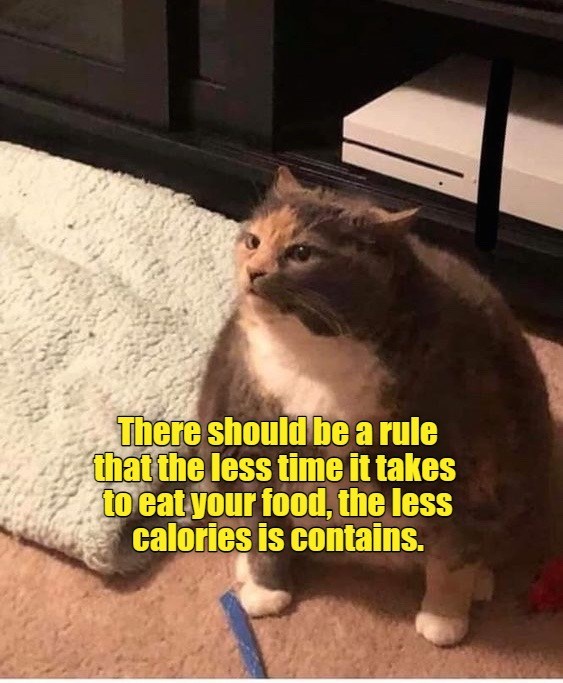 Isn't that why it's called fast food? - Lolcats - lol | cat memes ...