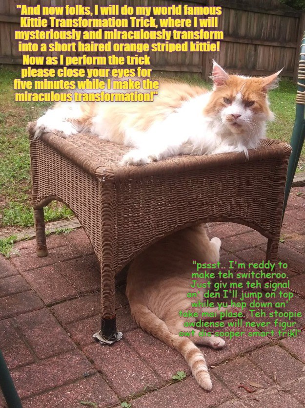 The Astonishing Dilbert performs his wildly popular magic routine to ...