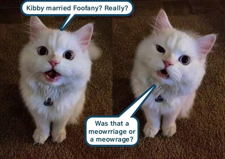 Girl...I heard you're getting married... - Lolcats - lol | cat memes ...