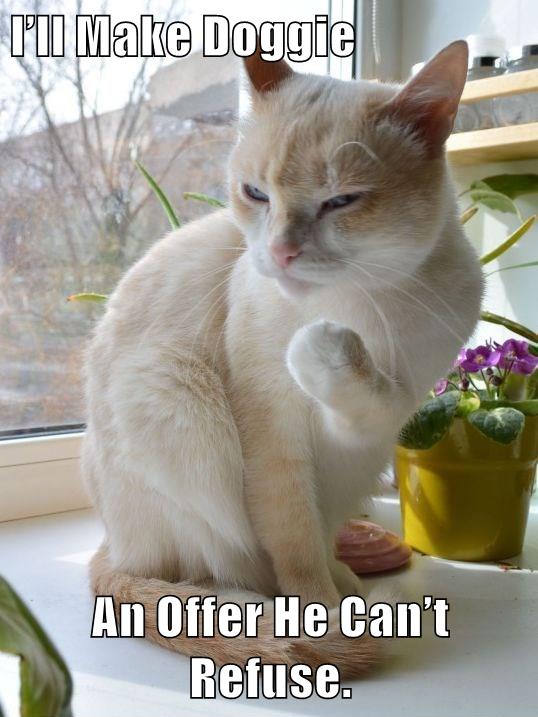I’ll Make Doggie An Offer He Can’t Refuse. - Lolcats - lol | cat memes ...