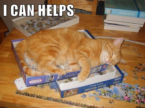 I CAN HELPS - Lolcats - lol | cat memes | funny cats | funny cat ...