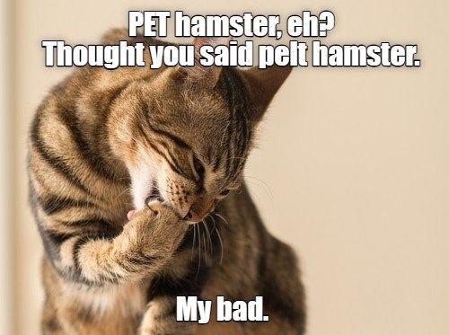 My sensitive cat ears misheard you. - Lolcats - lol | cat memes | funny ...