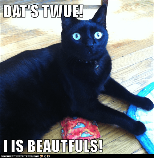 DAT'S TWUE! - Lolcats - lol | cat memes | funny cats | funny cat ...