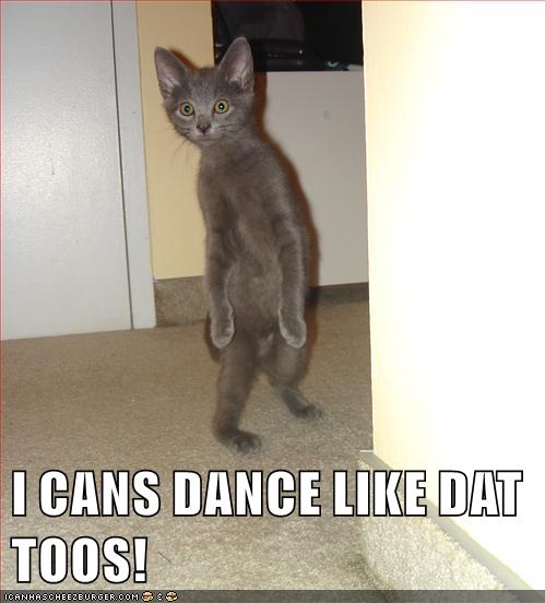 I CANS DANCE LIKE DAT TOOS! - Lolcats - lol | cat memes | funny cats ...