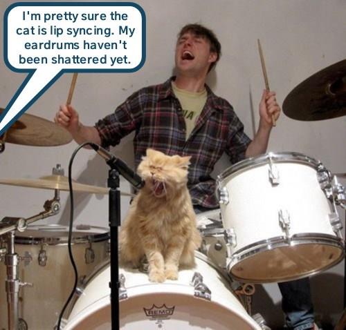 Human can't do it alone - Lolcats - lol | cat memes | funny cats ...