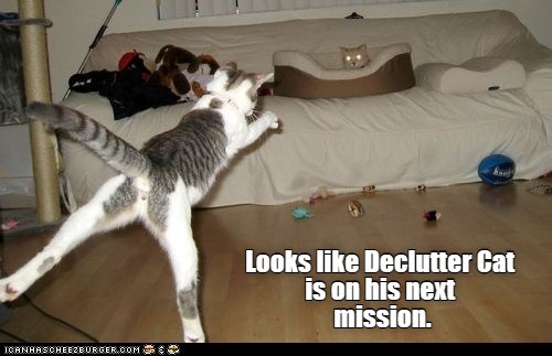 Declutter cat - Lolcats - lol | cat memes | funny cats | funny cat ...