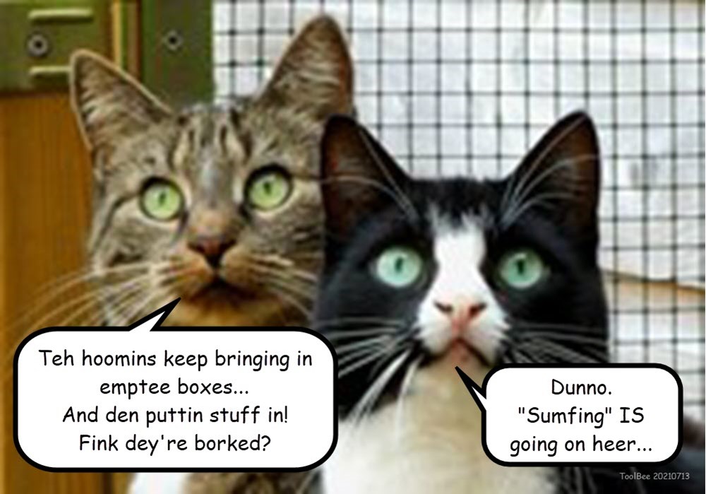 Ticking Boxes... :) - Lolcats - lol | cat memes | funny cats | funny ...