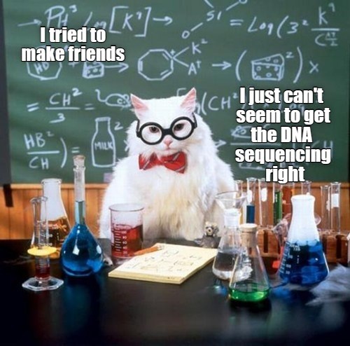 Someone Who Looks Good In Genes - Lolcats - lol | cat memes | funny ...