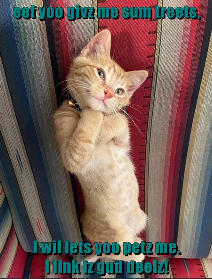 Gud deelz! - Lolcats - lol | cat memes | funny cats | funny cat ...