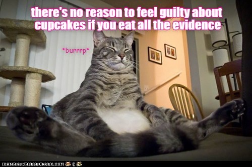 There's no reason to feel guilty - Lolcats - lol | cat memes | funny ...