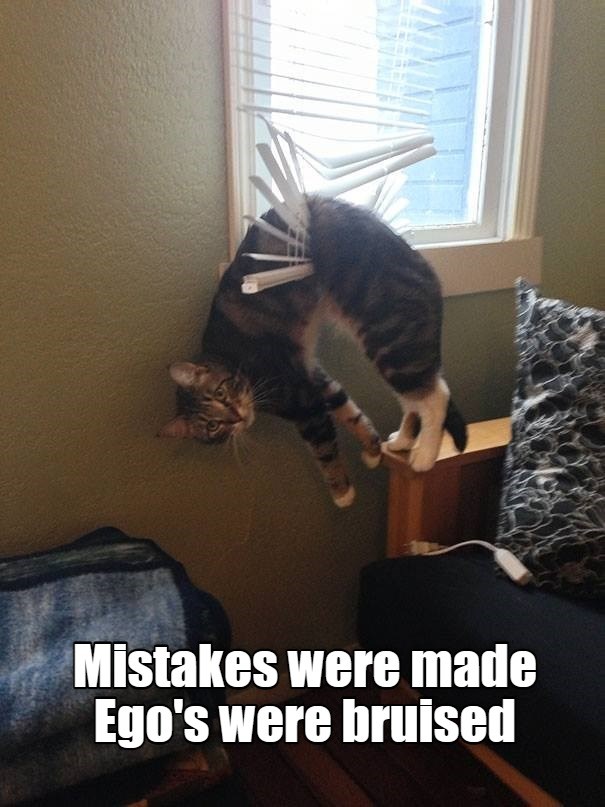 Just Get Me Out Of Here - Lolcats - lol | cat memes | funny cats ...