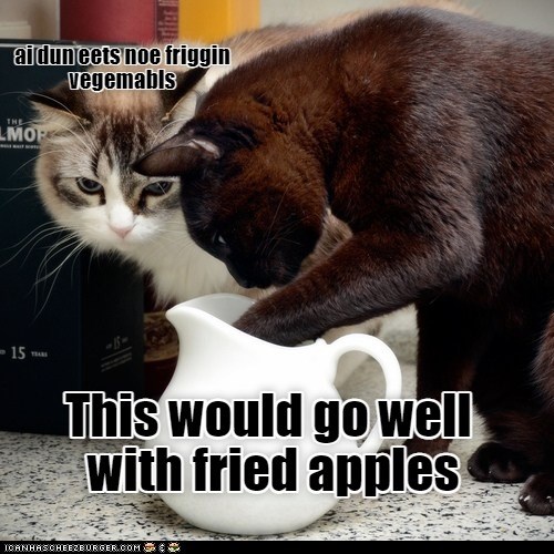 Mumble, mumble, wastes, mumble - Lolcats - lol | cat memes | funny cats ...