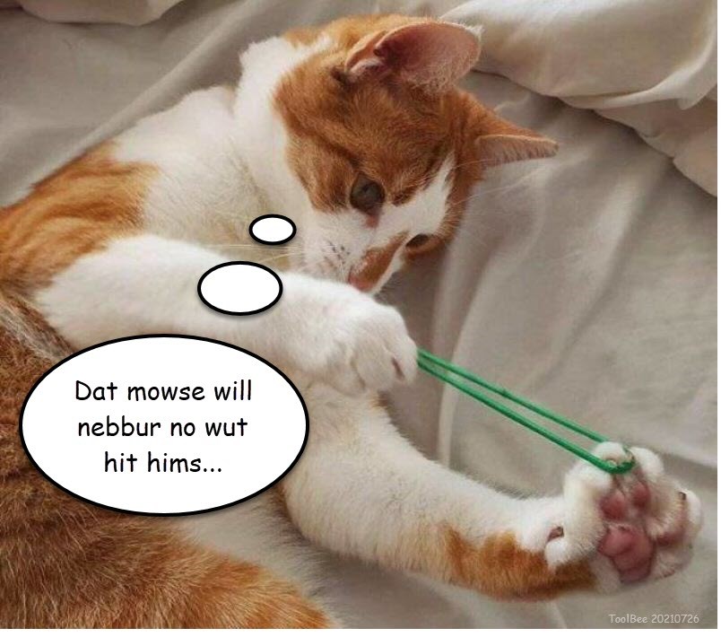 *Swoosh!* - Lolcats - lol | cat memes | funny cats | funny cat pictures ...