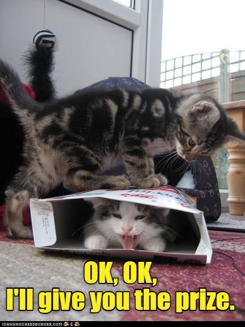 When little brother gets the new cereal first. - Lolcats - lol | cat ...
