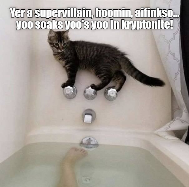 Your Origin Story - Lolcats - lol | cat memes | funny cats | funny cat ...