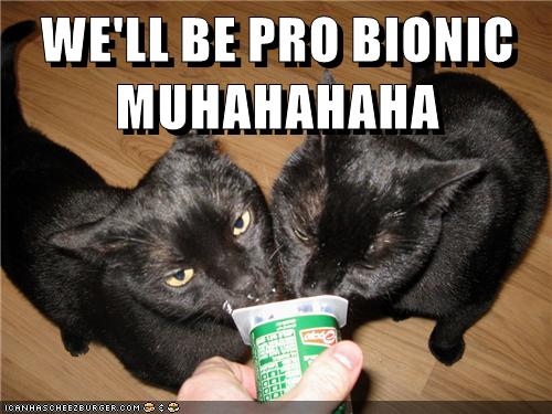 MUHAHAHAHA - Lolcats - lol | cat memes | funny cats | funny cat ...