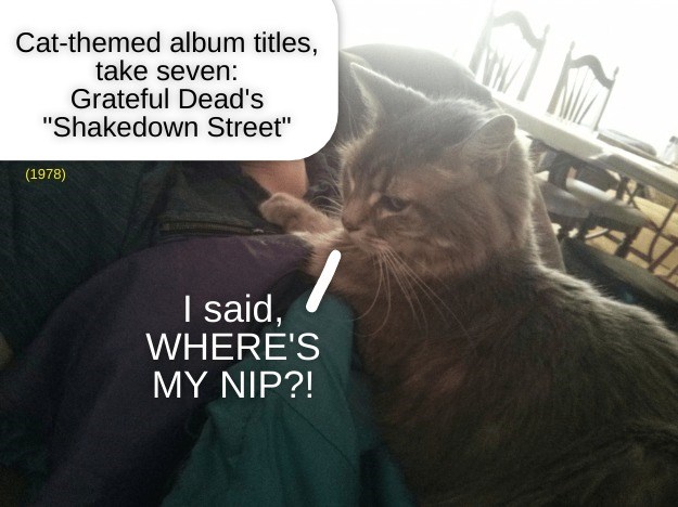 Cat-themed album titles, take seven - Lolcats - lol | cat memes | funny ...