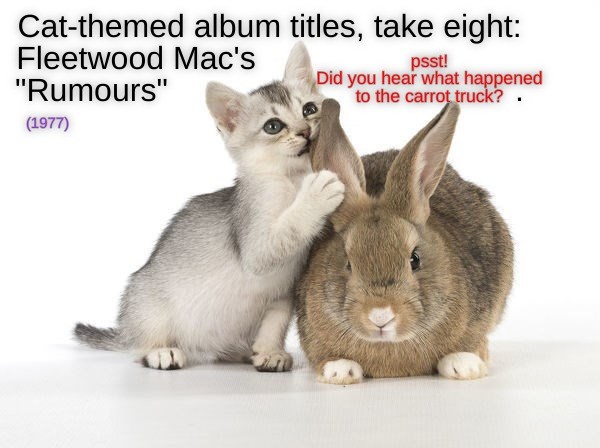 Cat-themed album titles, take eight - Lolcats - lol | cat memes | funny ...