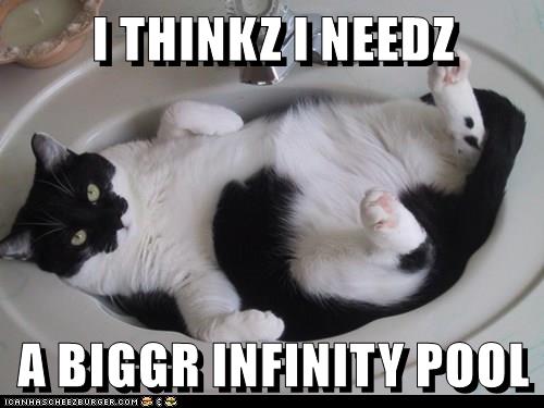 I THINKZ I NEEDZ A BIGGR INFINITY POOL - Lolcats - lol | cat memes ...