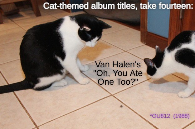 Cat-themed album titles, take fourteen - Lolcats - lol | cat memes ...