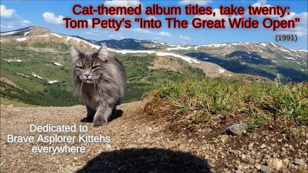 Cat-themed album titles, take twenty - Lolcats - lol | cat memes ...
