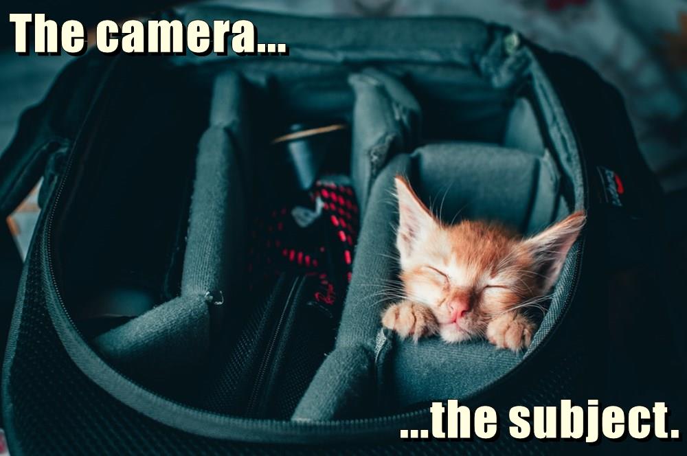 The camera... ...the subject. - Lolcats - lol | cat memes | funny cats ...