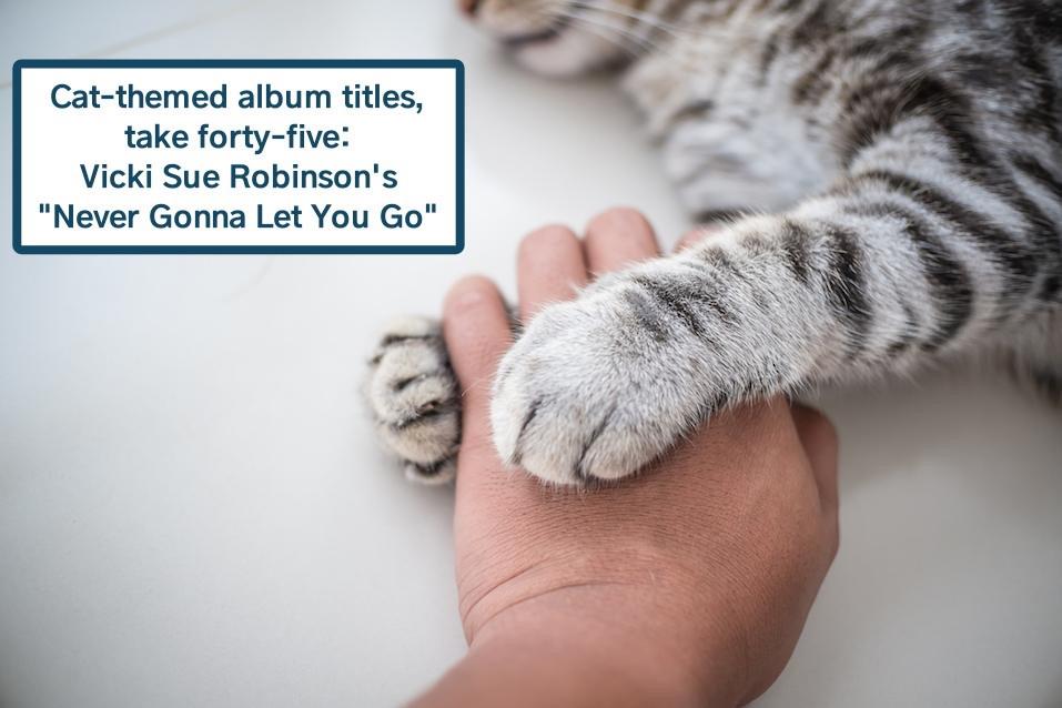 Cat-themed album titles, take forty-five - Lolcats - lol | cat memes ...