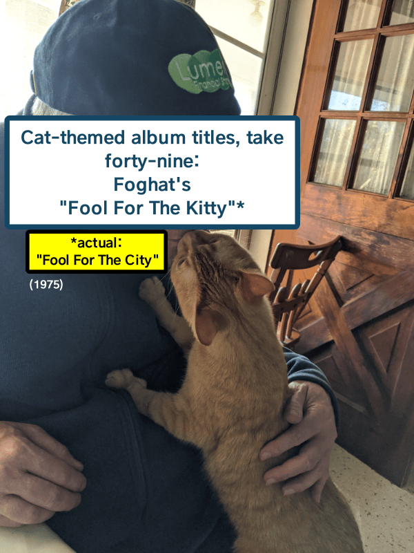 Cat-themed album titles, take forty-nine - Lolcats - lol | cat memes ...