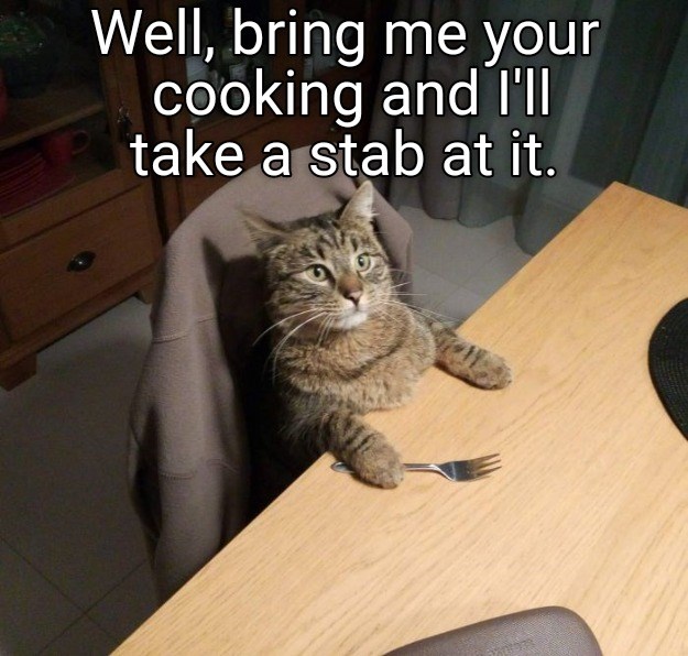Prepared For Battle - Lolcats - lol | cat memes | funny cats | funny ...