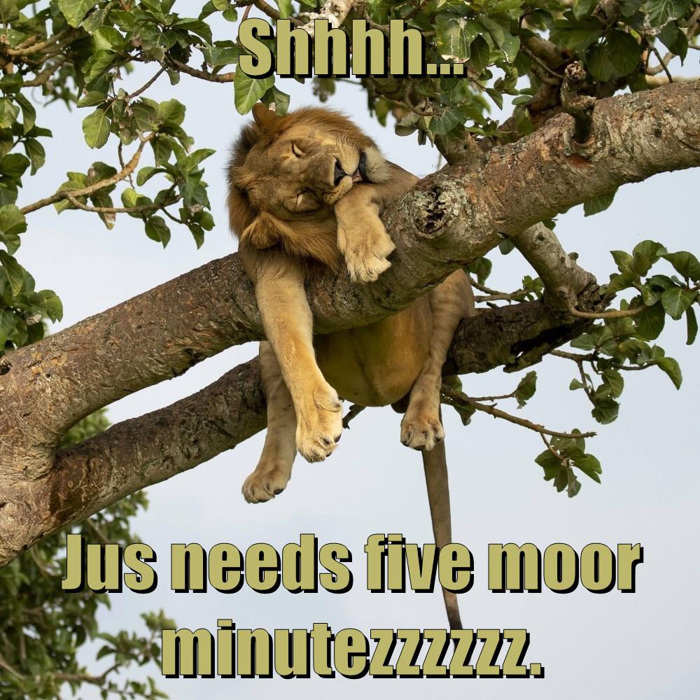 Shhhh... Jus needs five moor minutezzzzzz. - Animal Comedy - Animal ...