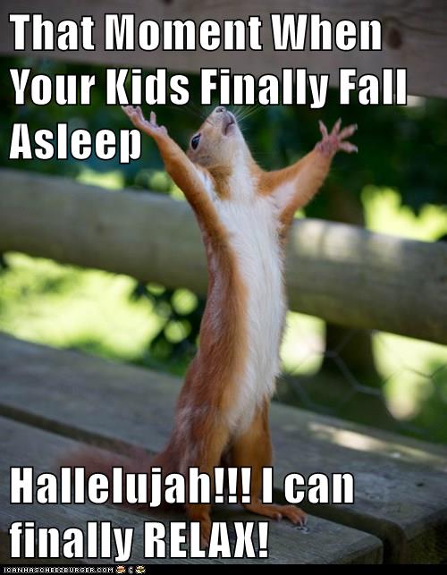 That Moment When Your Kids Finally Fall Asleep - Animal Comedy - Animal ...