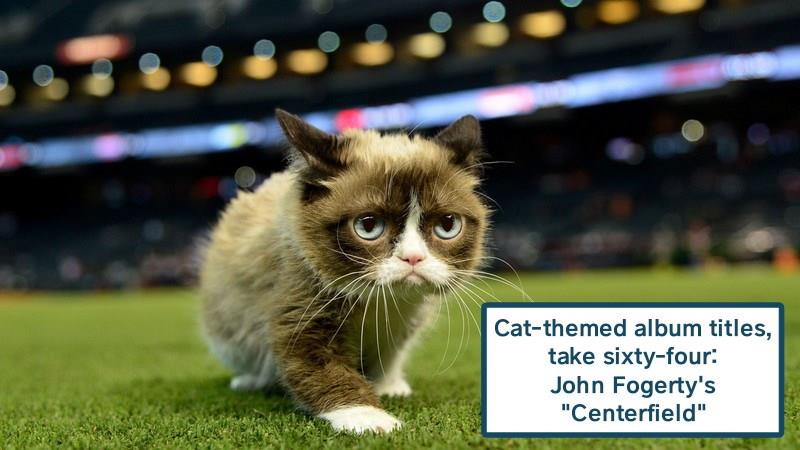 Cat-themed album titles, take sixty-four - Lolcats - lol | cat memes ...