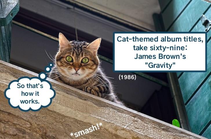 Cat-themed album titles, take sixty-nine - Lolcats - lol | cat memes ...