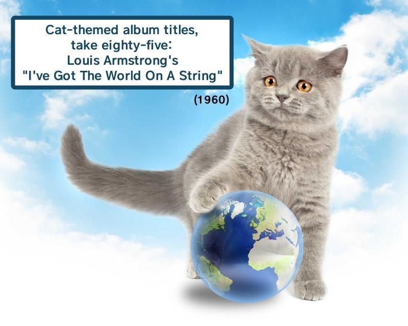 Cat-themed album titles, take eighty-five - Lolcats - lol | cat memes ...