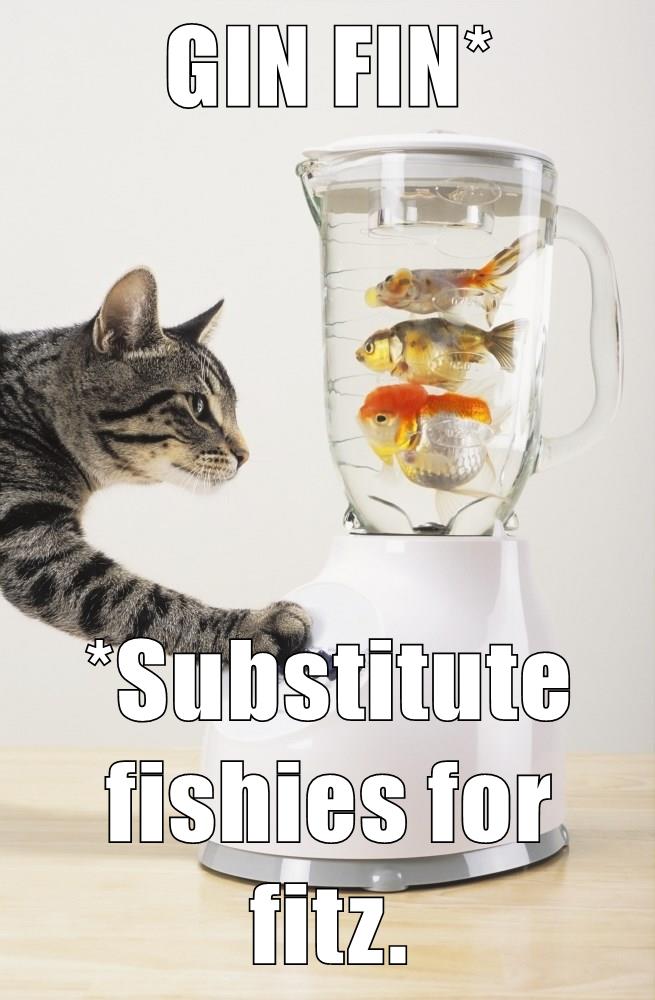 GIN FIN* - Lolcats - lol | cat memes | funny cats | funny cat pictures ...