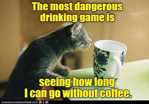 Danger! Danger! - Lolcats - lol | cat memes | funny cats | funny cat ...