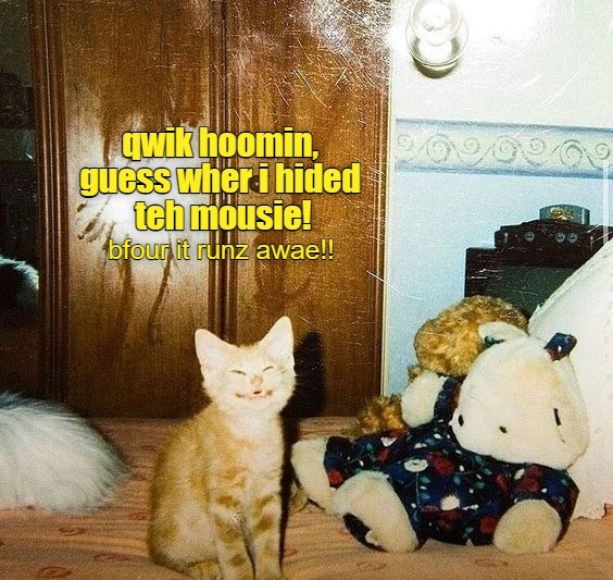 Let's play a game - Lolcats - lol | cat memes | funny cats | funny cat ...