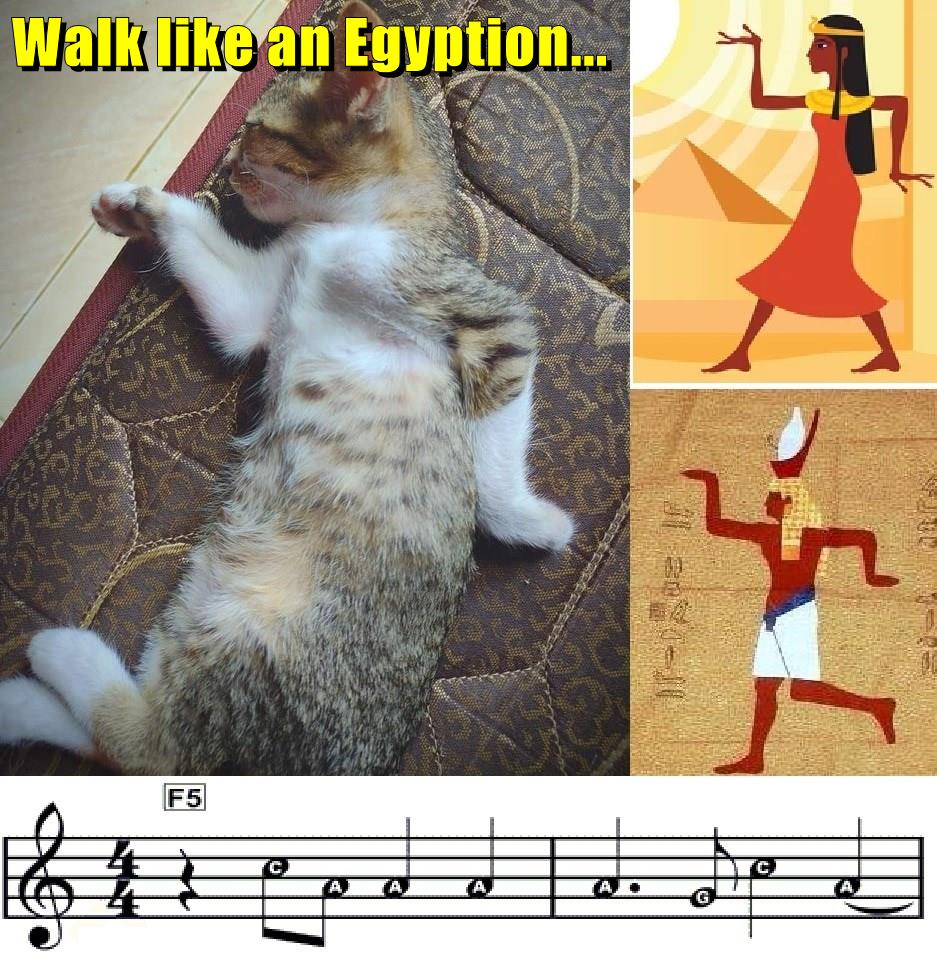 Walk like an Egyption... - Lolcats - lol | cat memes | funny cats ...
