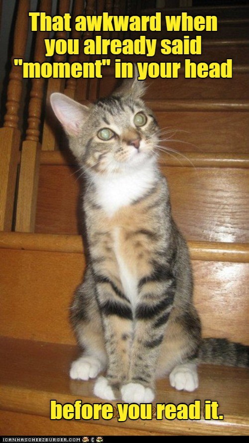 Totally awkward - Lolcats - lol | cat memes | funny cats | funny cat ...