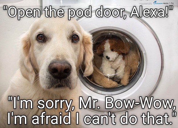 No one competes for Alexa's affection... - I Has A Hotdog - Dog ...