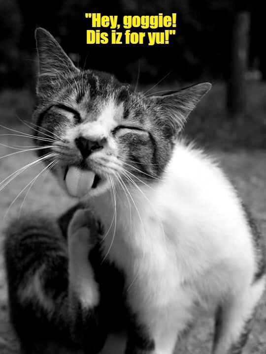 Nellie always had a contentious relationship with the family doggie ...