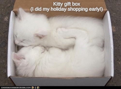 Kitty gift box - Lolcats - lol | cat memes | funny cats | funny cat ...